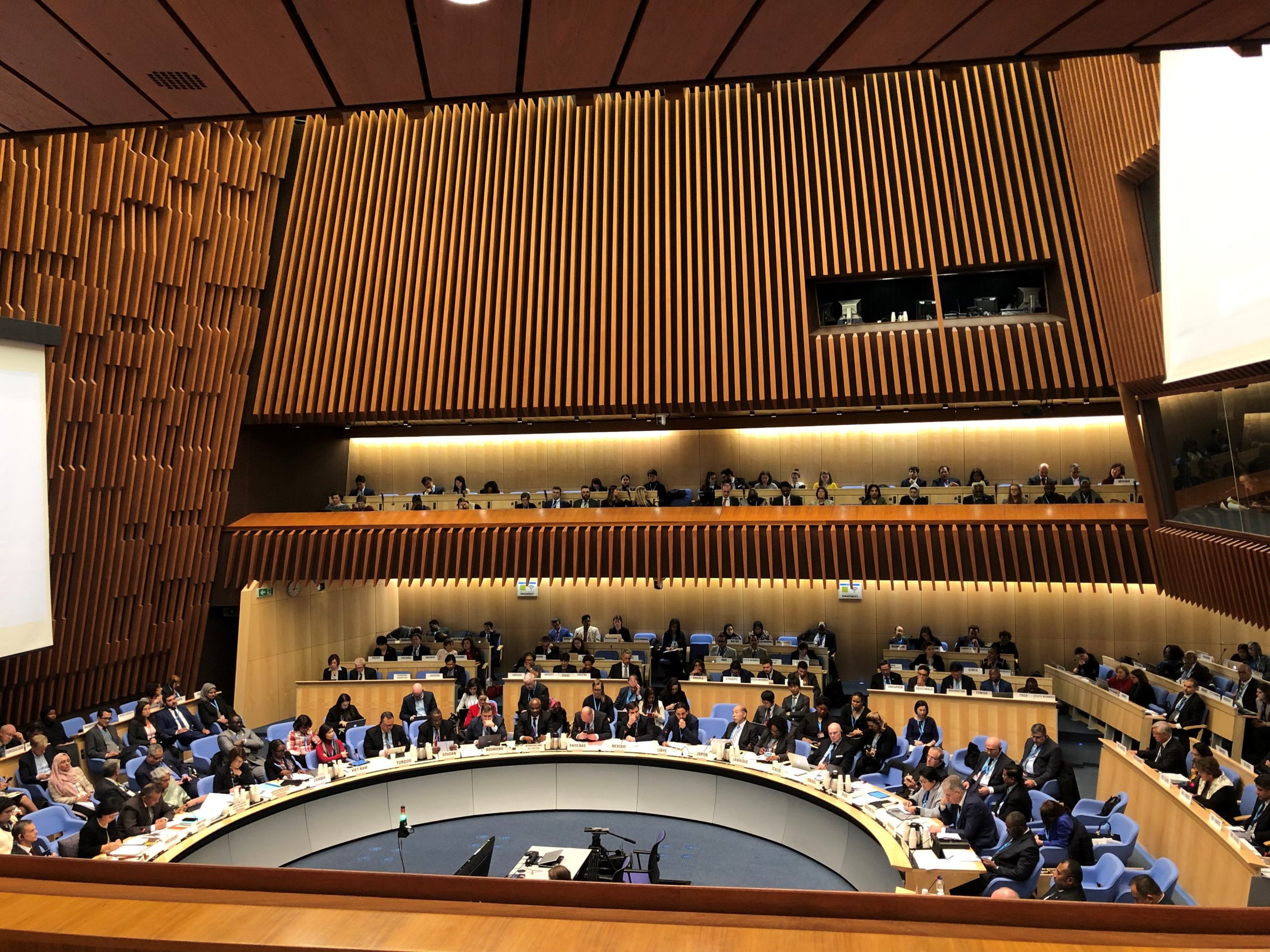 Update from the 144th Session of the WHO Executive Board - World Heart ...