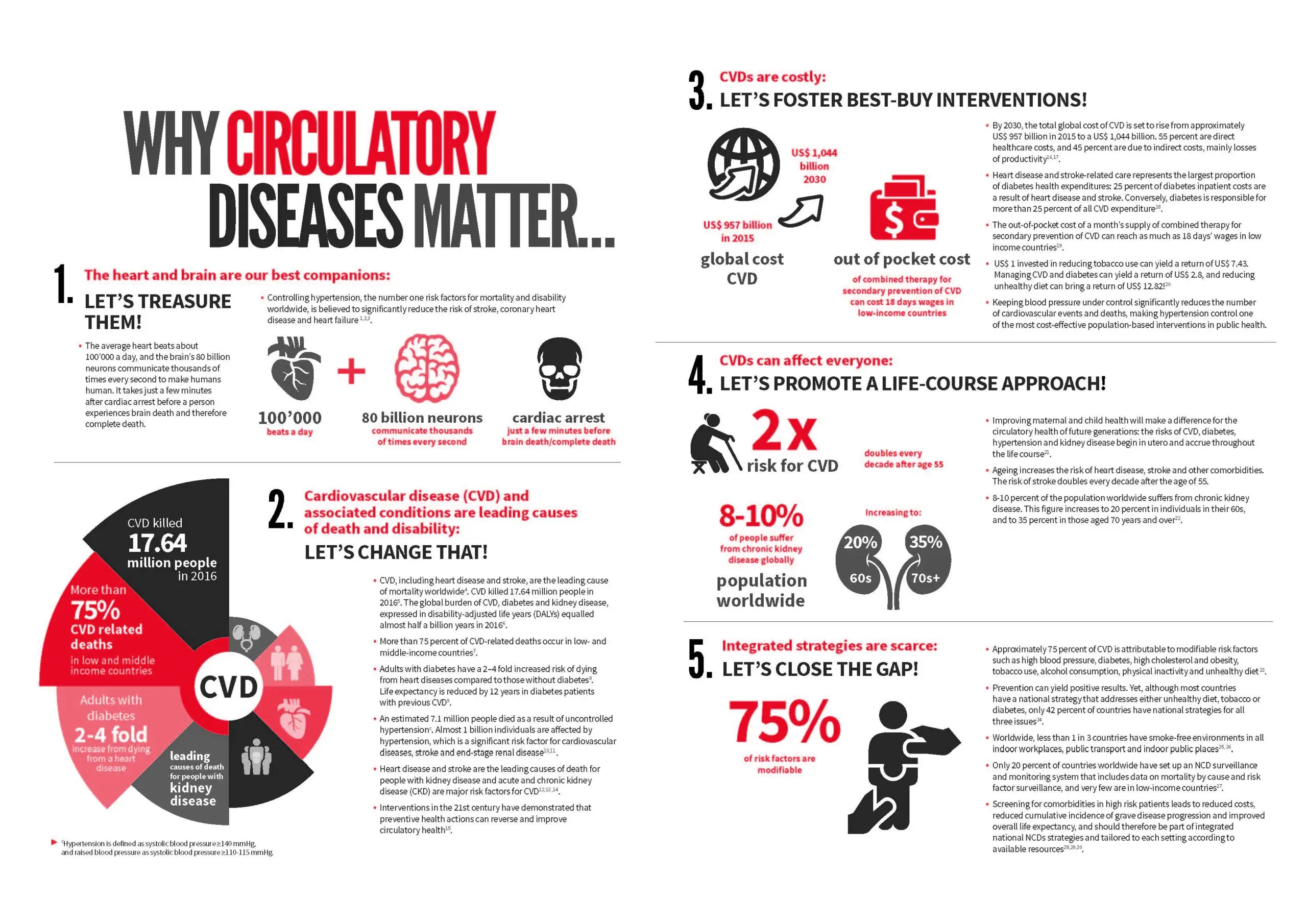 Infographic: Why Circulatory Health Matters | World Heart Federation