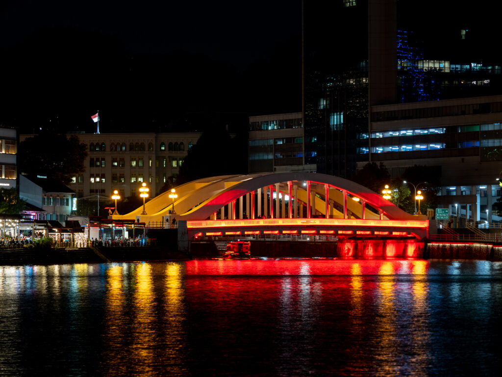 Coleman Bridge - World Heart Federation