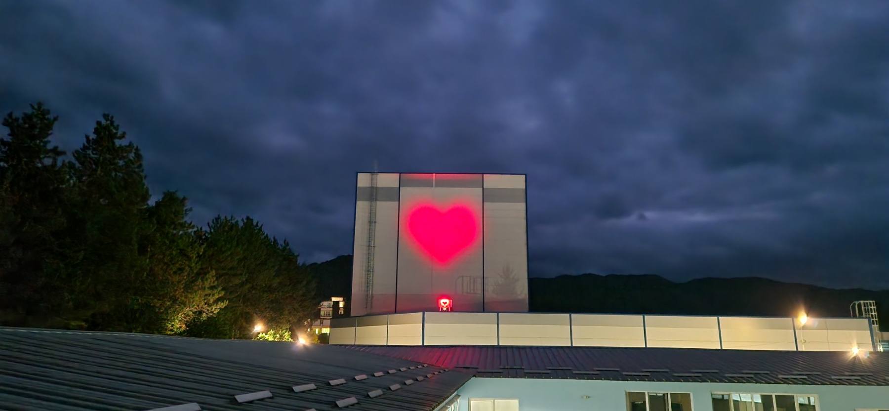 Red Heart - World Heart Federation